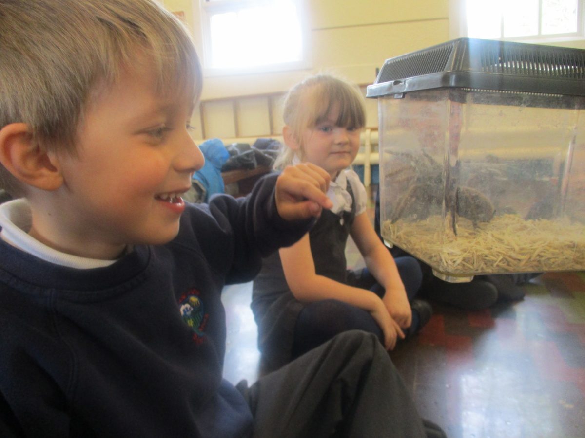 Zoo Lab Visit to Little Explorers - Castle View Primary School - Matlock