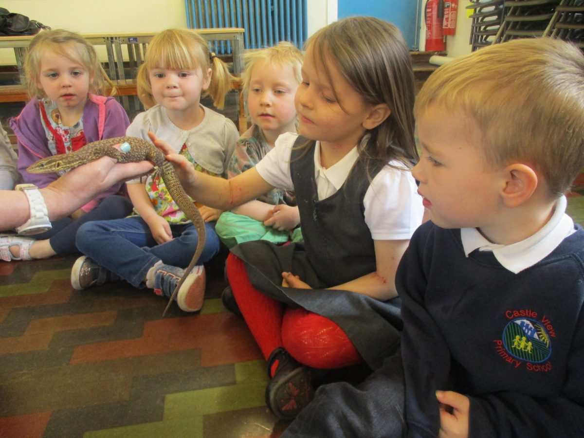 Zoo Lab Visit to Little Explorers - Castle View Primary School - Matlock